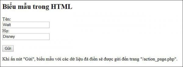 Form trong HTML - HKT SOFT